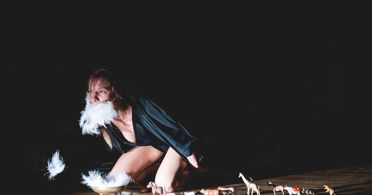 Katrijn De Cooman / Collectief Elan(d) — RauwRouw - Een landschap van rouw | Krokusfestival